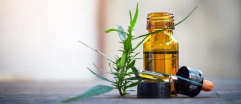 Marijuana Dabs: Risks, Side Effects and Addiction | Nova Recovery Center